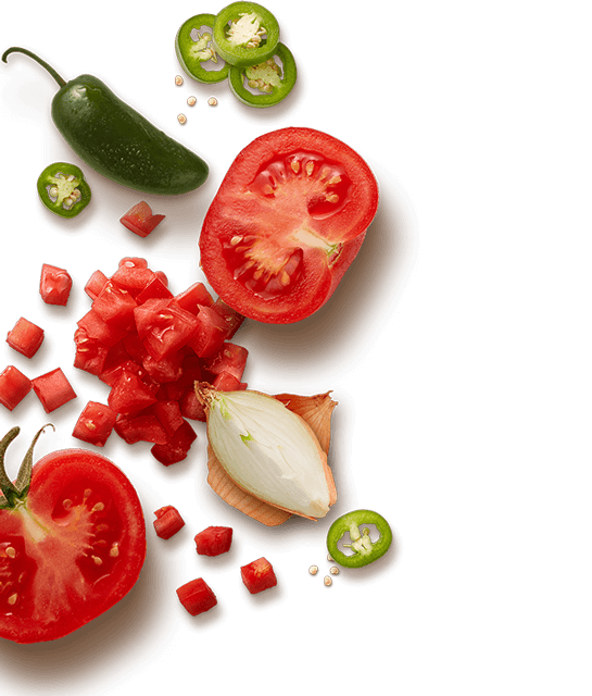 Chicken Broiler Hatching Table Eggs+ Cobb 500 + Ross 308 for Sale